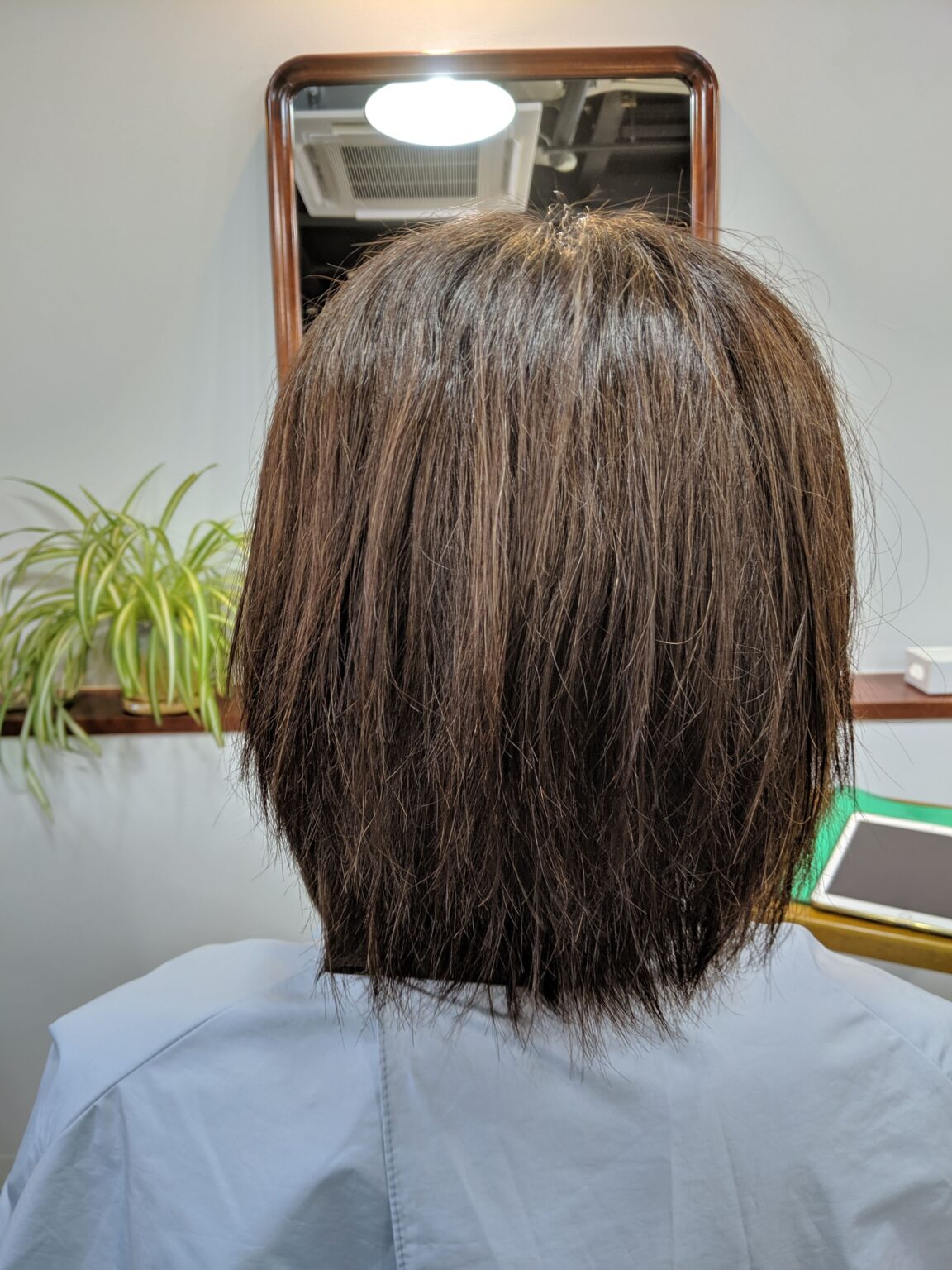 梅雨のしたく | 石川県小松市の美容室Bokka美容院ボッカ